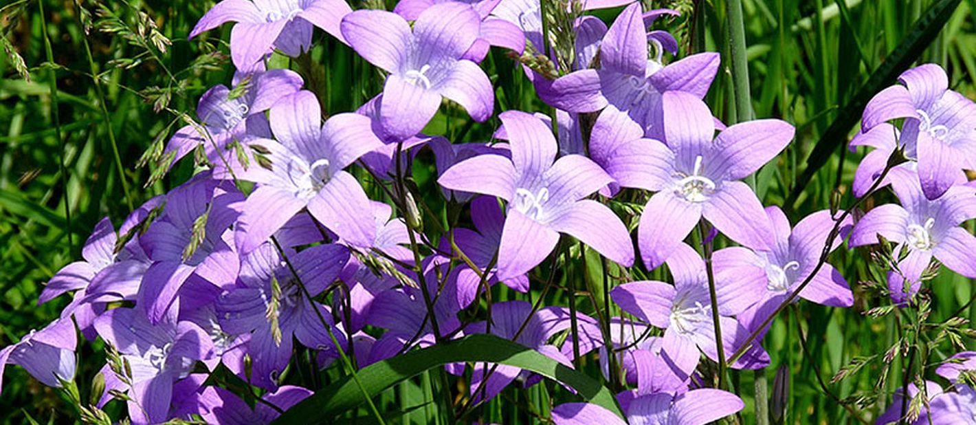 Markt Kaisheim | Rathausteam