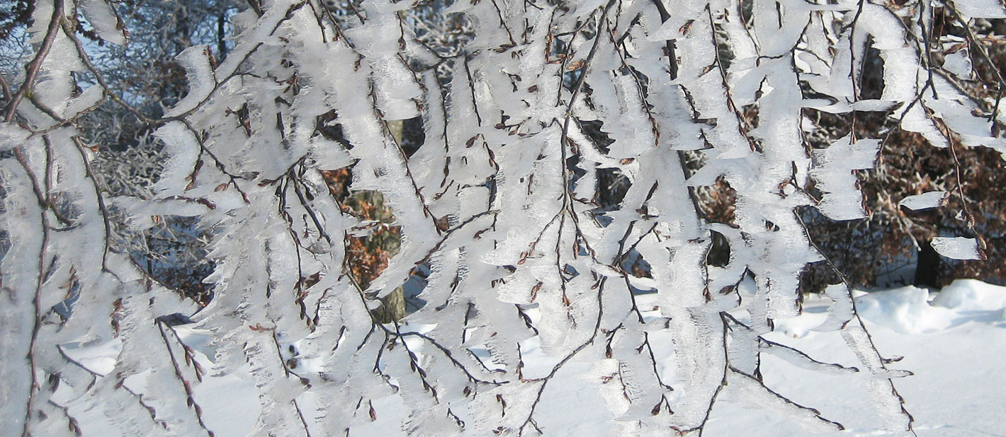 Markt Kaisheim | Rathausteam